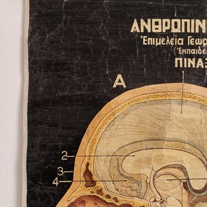 Lithography Map, NOS Map, Anatomy Map, School Map, Antique Map, Chromo ...