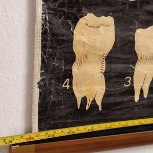 Lithography Map, NOS Map, Anatomy Map, School Map, Antique Map, Chromo ...