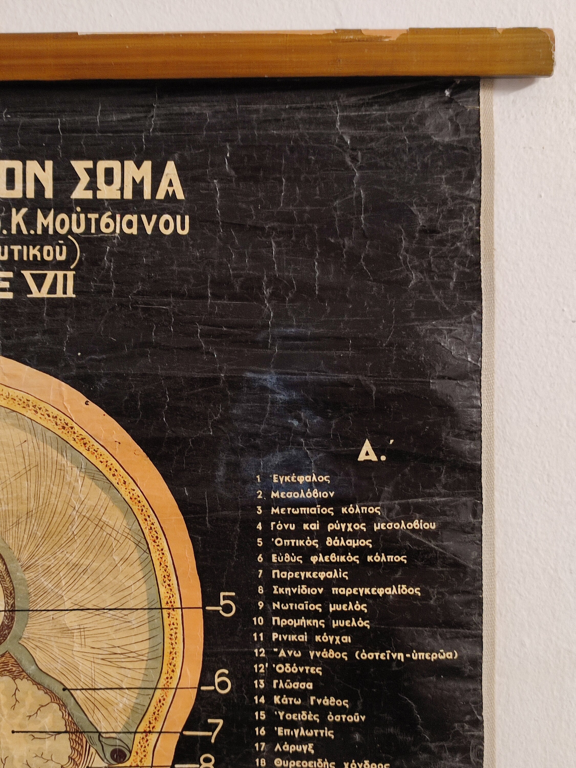 Lithography Map NOS Map Anatomy Map School Map Antique - Etsy