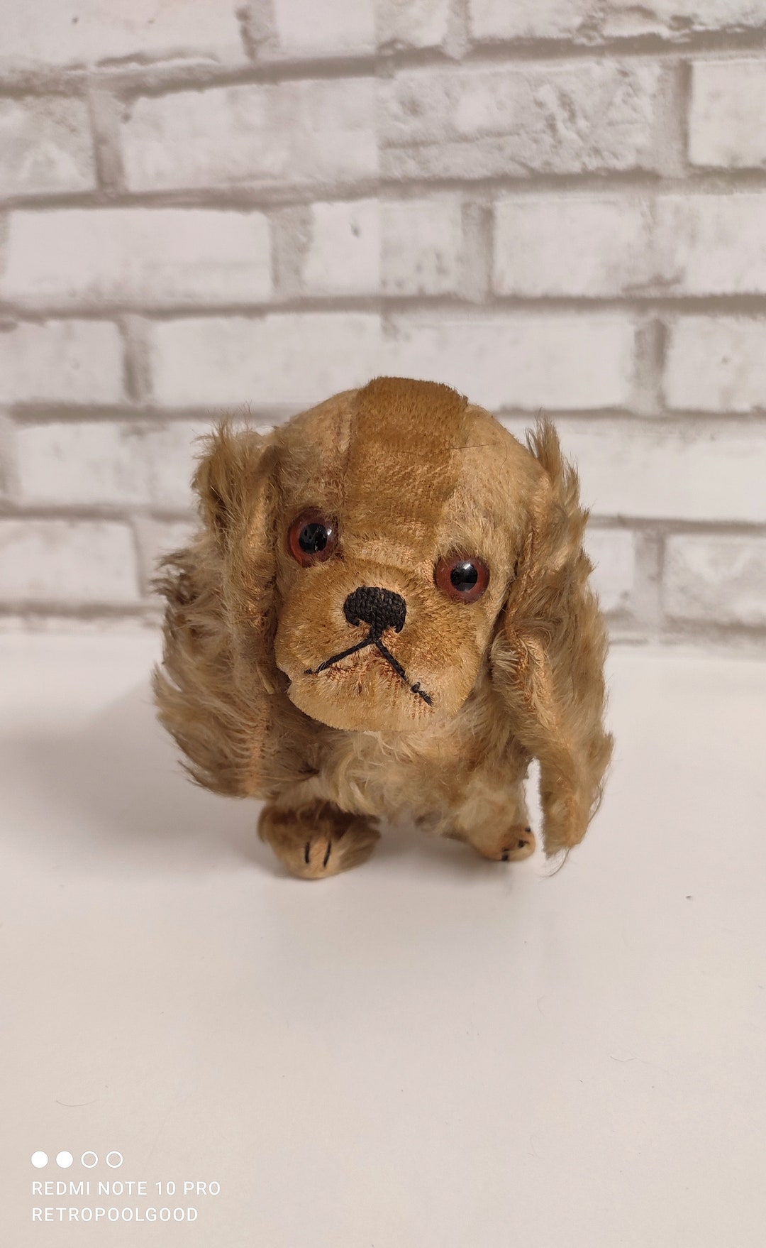 Antique Steiff King Charles Spaniel Dog charly 1928-1935 With Button - Etsy
