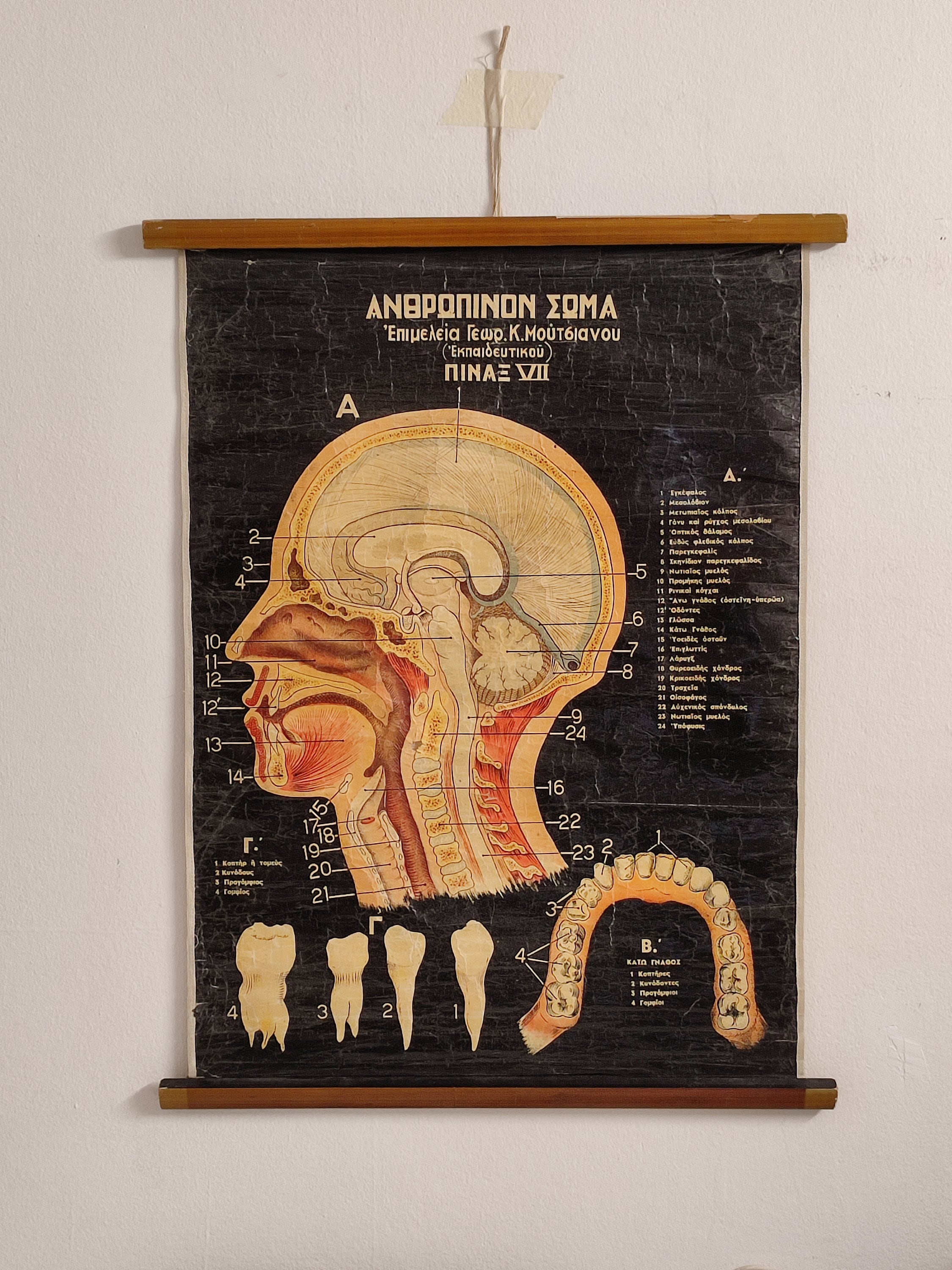 Lithography Map NOS Map Anatomy Map School Map Antique - Etsy