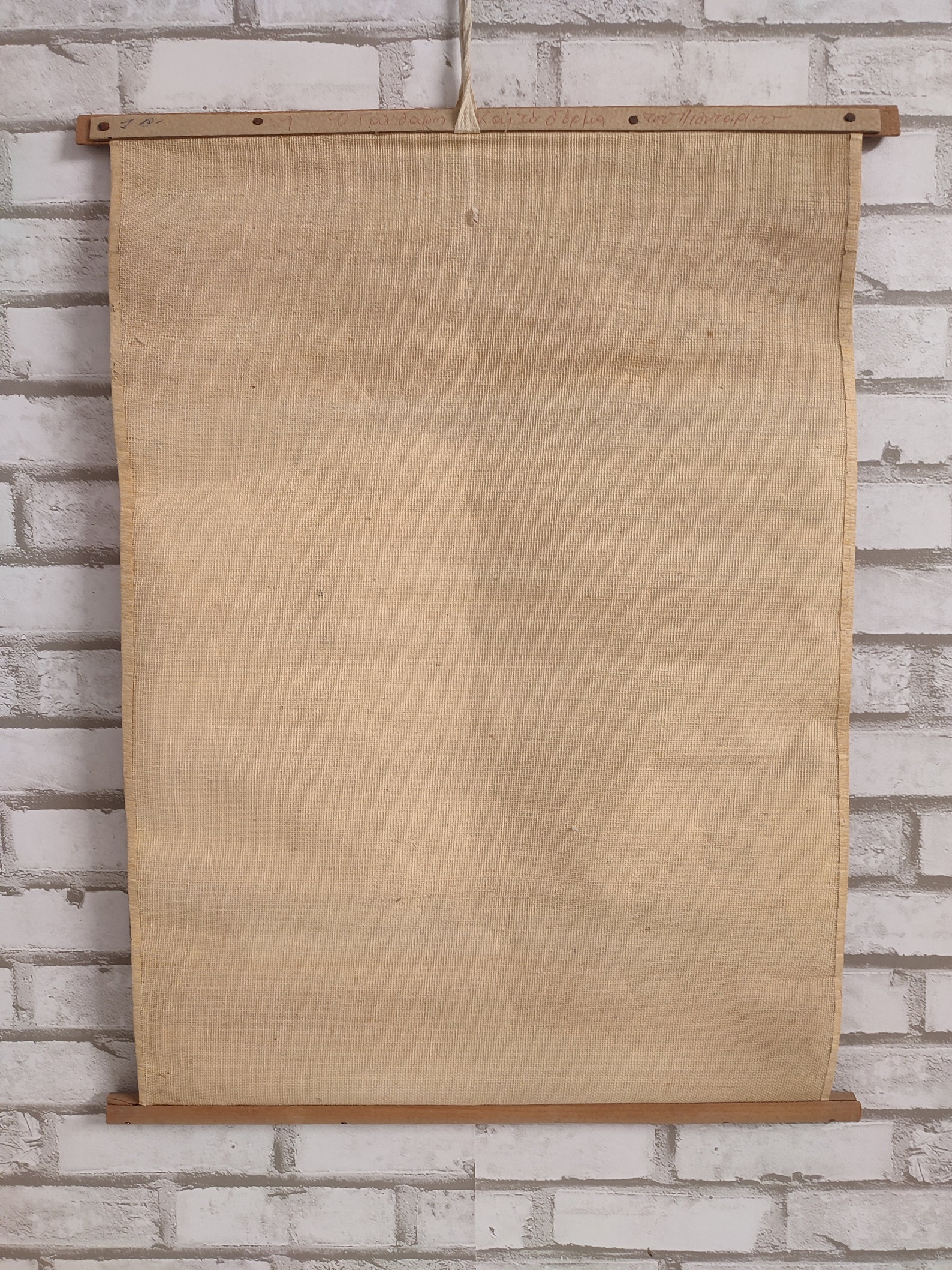 The Donkey in the Lion's Skin Aesop's Fables School - Etsy