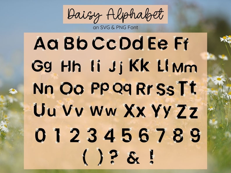 Daisy SVG, Daisy PNG, Daisy Font, Retro Font, Groovy Font, Boho Font ...