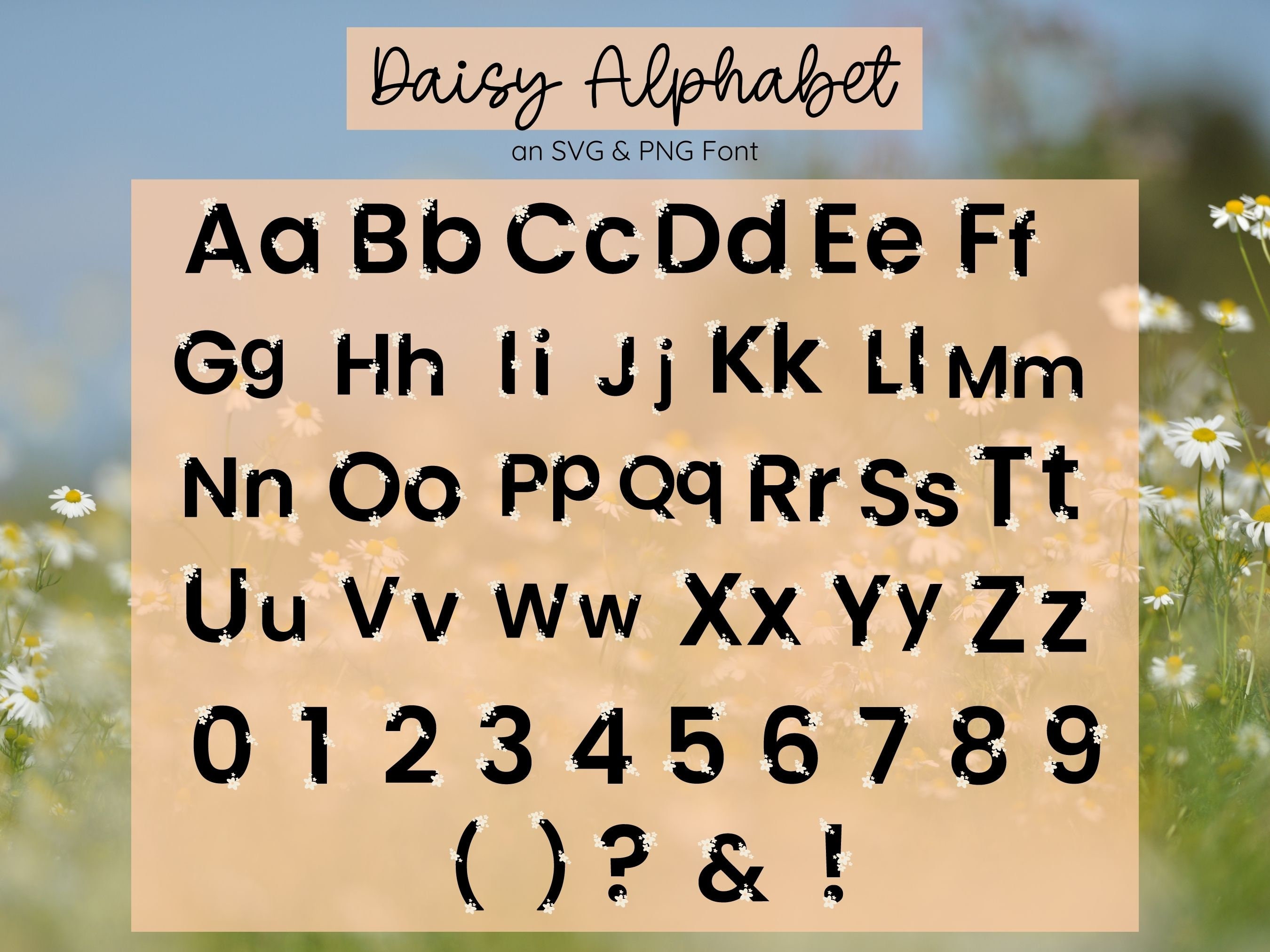 Daisy SVG, Daisy PNG, Daisy Font, Retro Font, Groovy Font, Boho Font ...