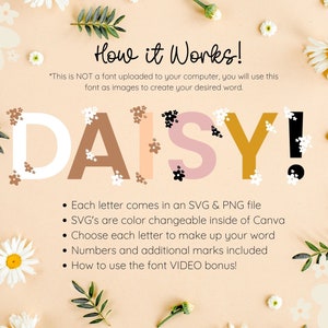 Daisy SVG, Daisy PNG, Daisy Font, Retro Font, Groovy Font, Boho Font ...