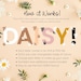 Daisy SVG, Daisy PNG, Daisy Font, Retro Font, Groovy Font, Boho Font ...