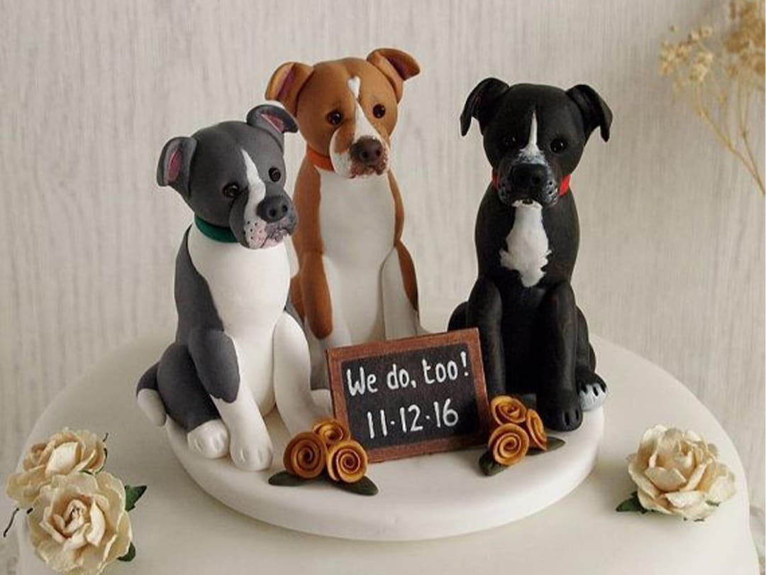 Pet Cake Topper Hat, Pet Birthday Cake Topper, Cake Decoration, Pet ...
