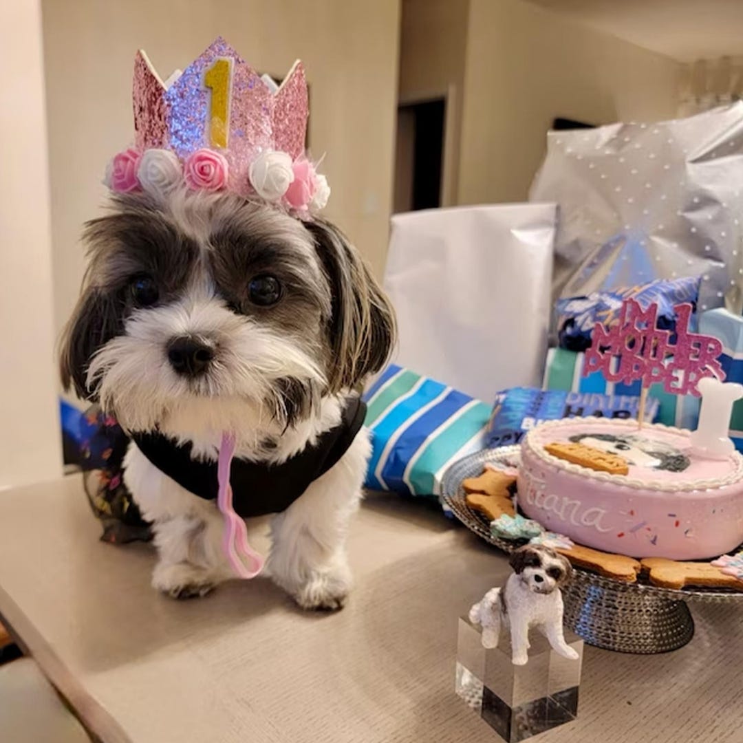 Personalized Dog Cake Topper: Custom Polymer Clay Pet Sculpture - Etsy
