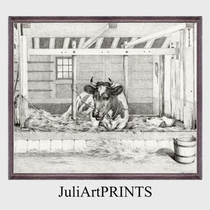 A Sketch of a Lying Cow in the Barn | Vintage Art Prints for Your Home ...