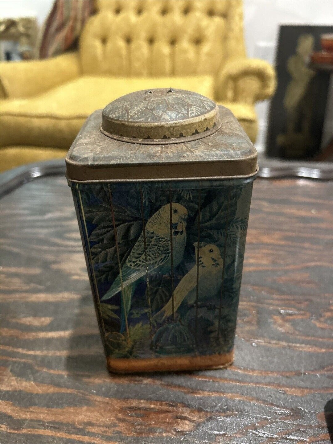 Bird Cage Tin With Lid Parakeets Finch Colorful Canister - Etsy