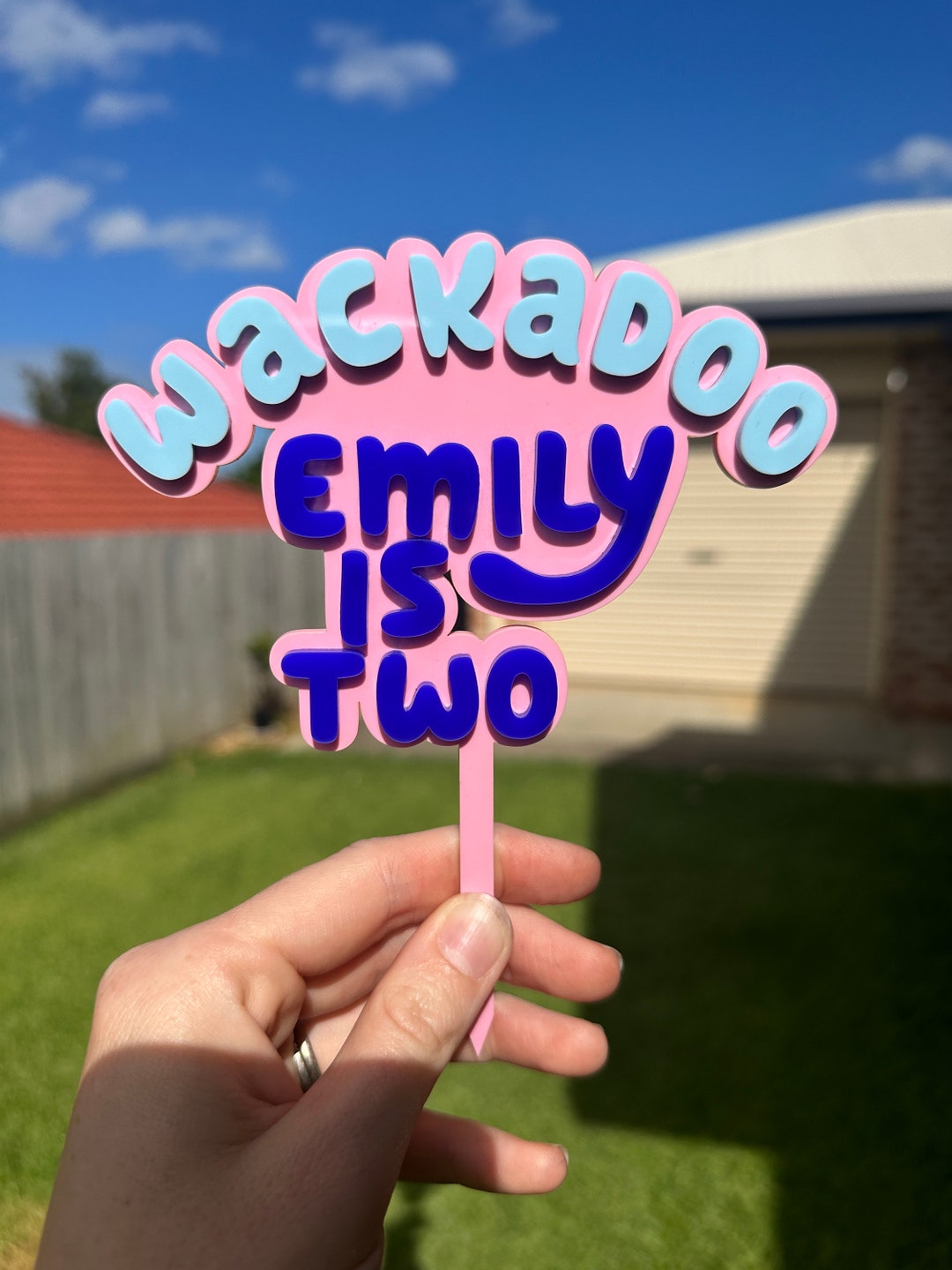 Wackadoo Bluey Themed Cake Topper - Etsy