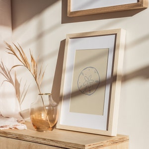 Sand Dollar Art Print | Sand Dollar Ink Drawing | Seashell Drawing ...