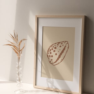 Cowrie Shell Line Art Print | Boho Coastal Decor (digital Download) - Etsy