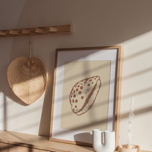 Cowrie Shell Line Art Print | Boho Coastal Decor (digital Download) - Etsy