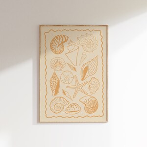 Seashells Art Print Summer Shells Print Seashell Ink Drawing Coastal ...