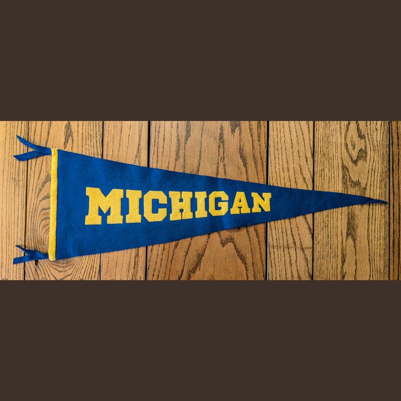 Michigan Felt Pennants - Etsy