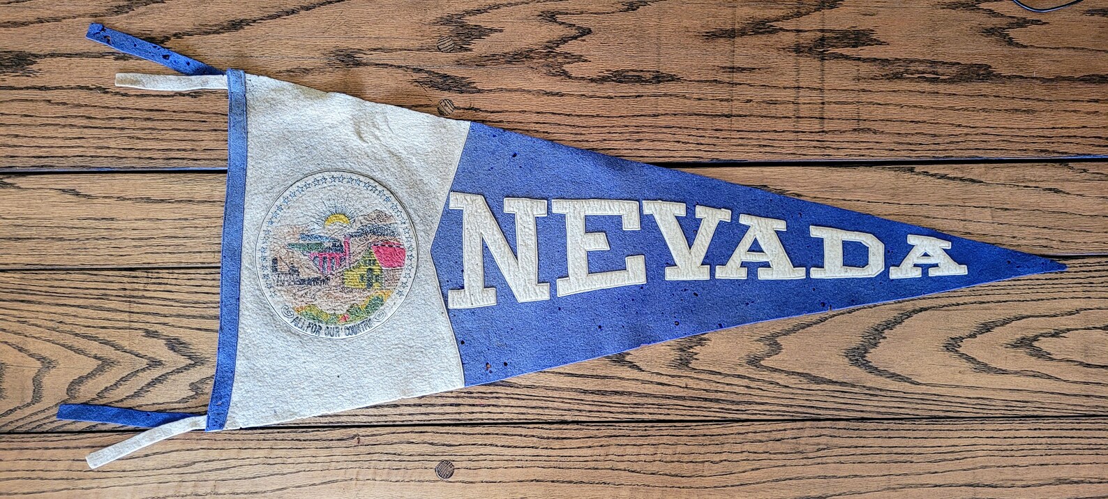 Antique Early 1900’s Nevada Felt Pennant - RARE - Etsy