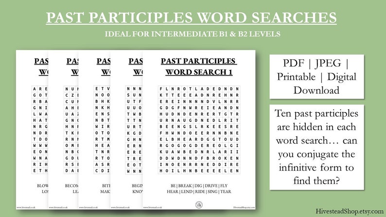 English Grammar Past Participles Word Search Revision Activity - Etsy