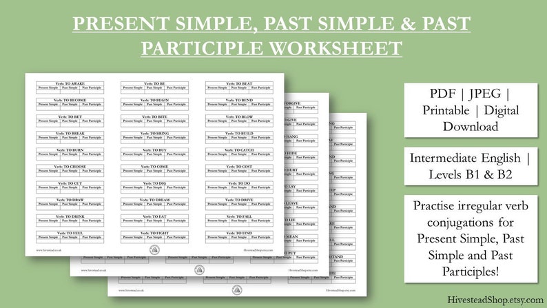 English Grammar Irregular Verb Revision Activity | Digital Download ...