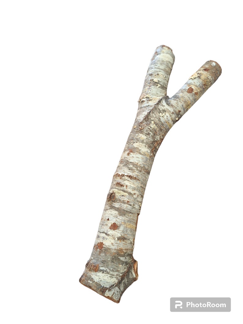 Live Edge Wood Log With Fork - Etsy