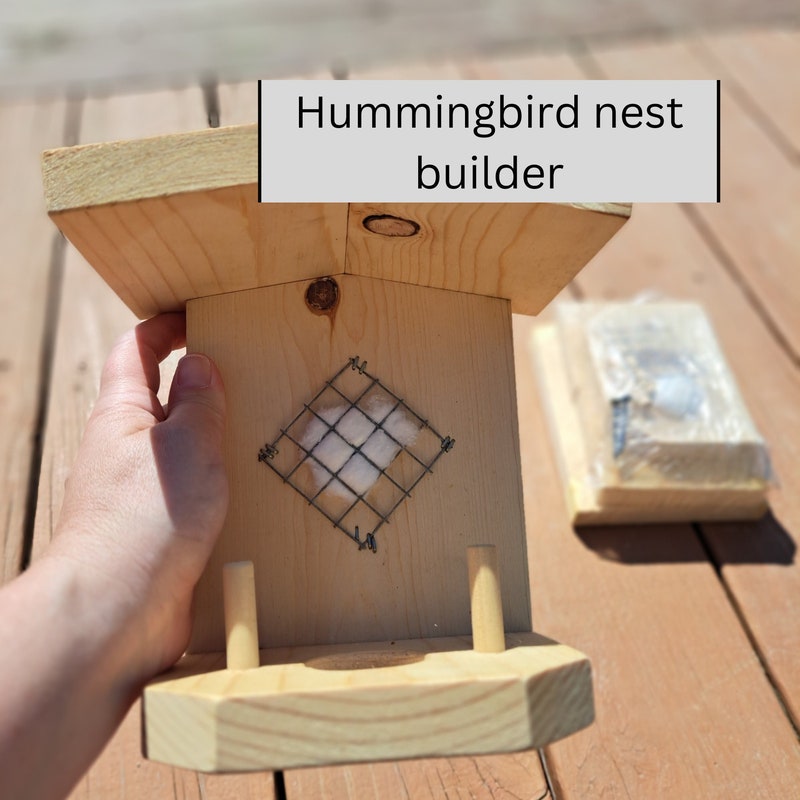 Hummingbird Nest - Etsy