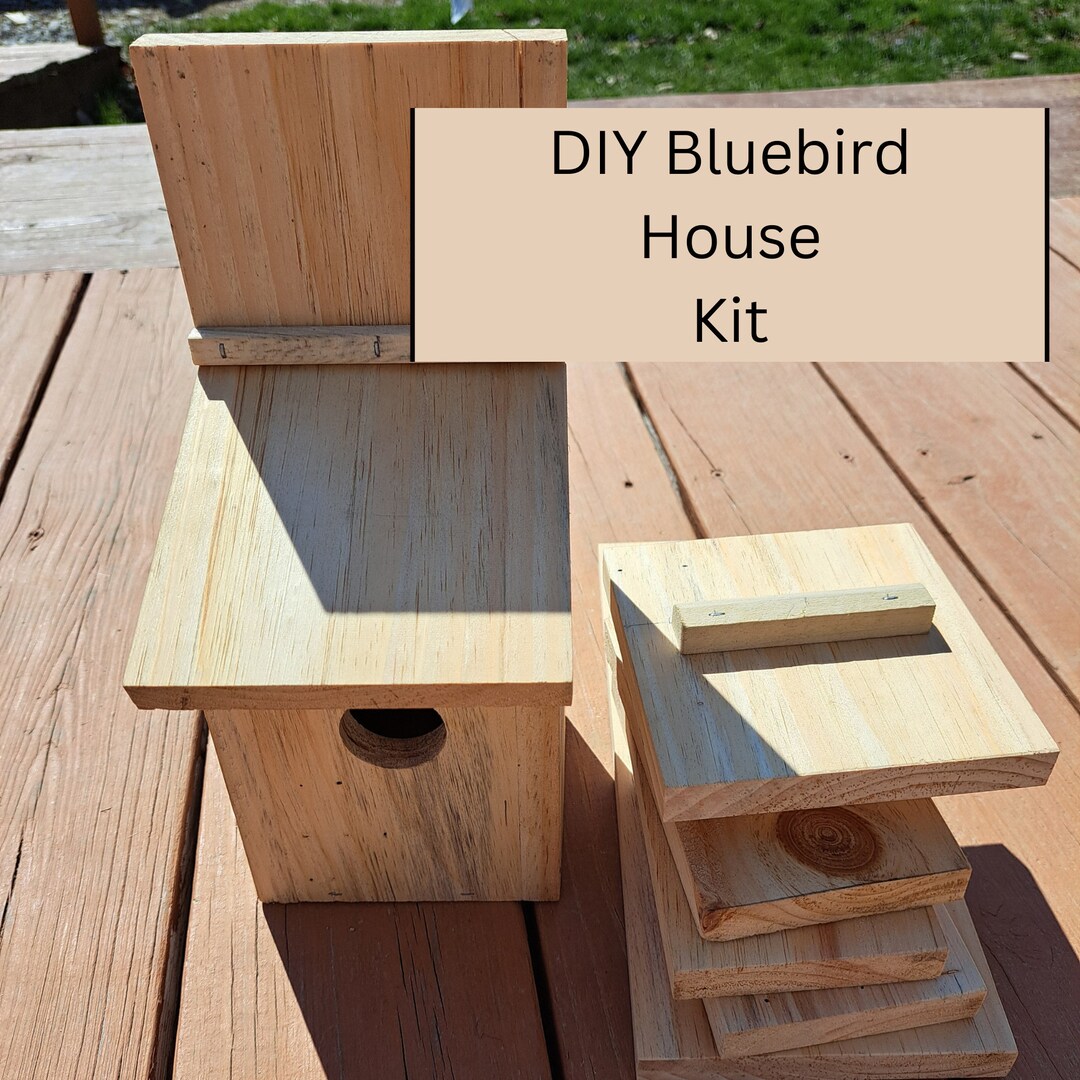 Bluebird House Kit, Unfinished Simple Birdhouse, Handcrafted Hanging ...
