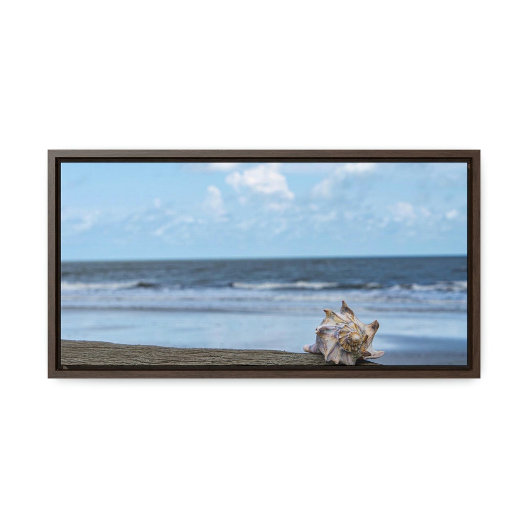 Botany Bay Shell gallery Canvas Wraps, Horizontal Frame - Etsy