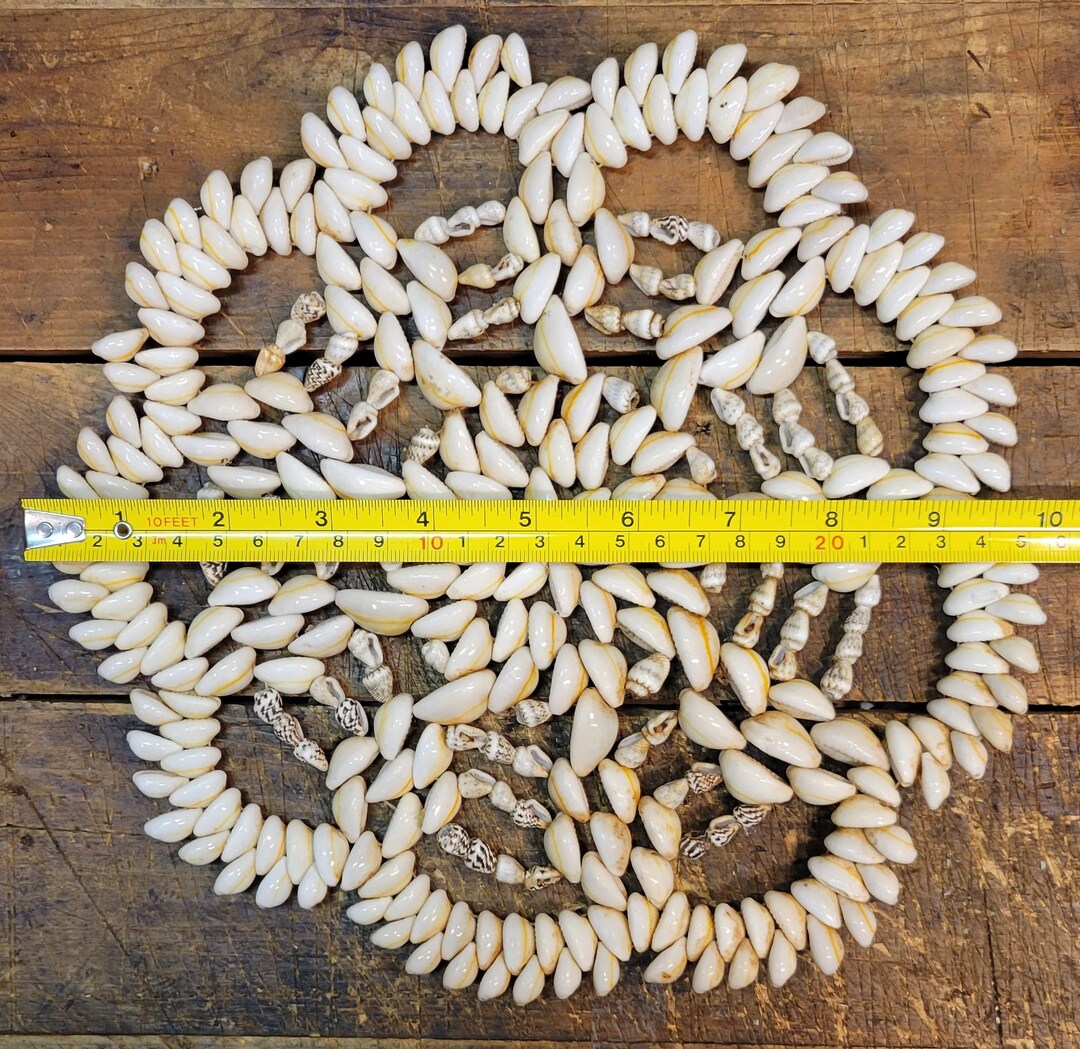 Vtg. Large 10" Cowrie Shell Trivet-placemat-mcm Shell Art. - Etsy