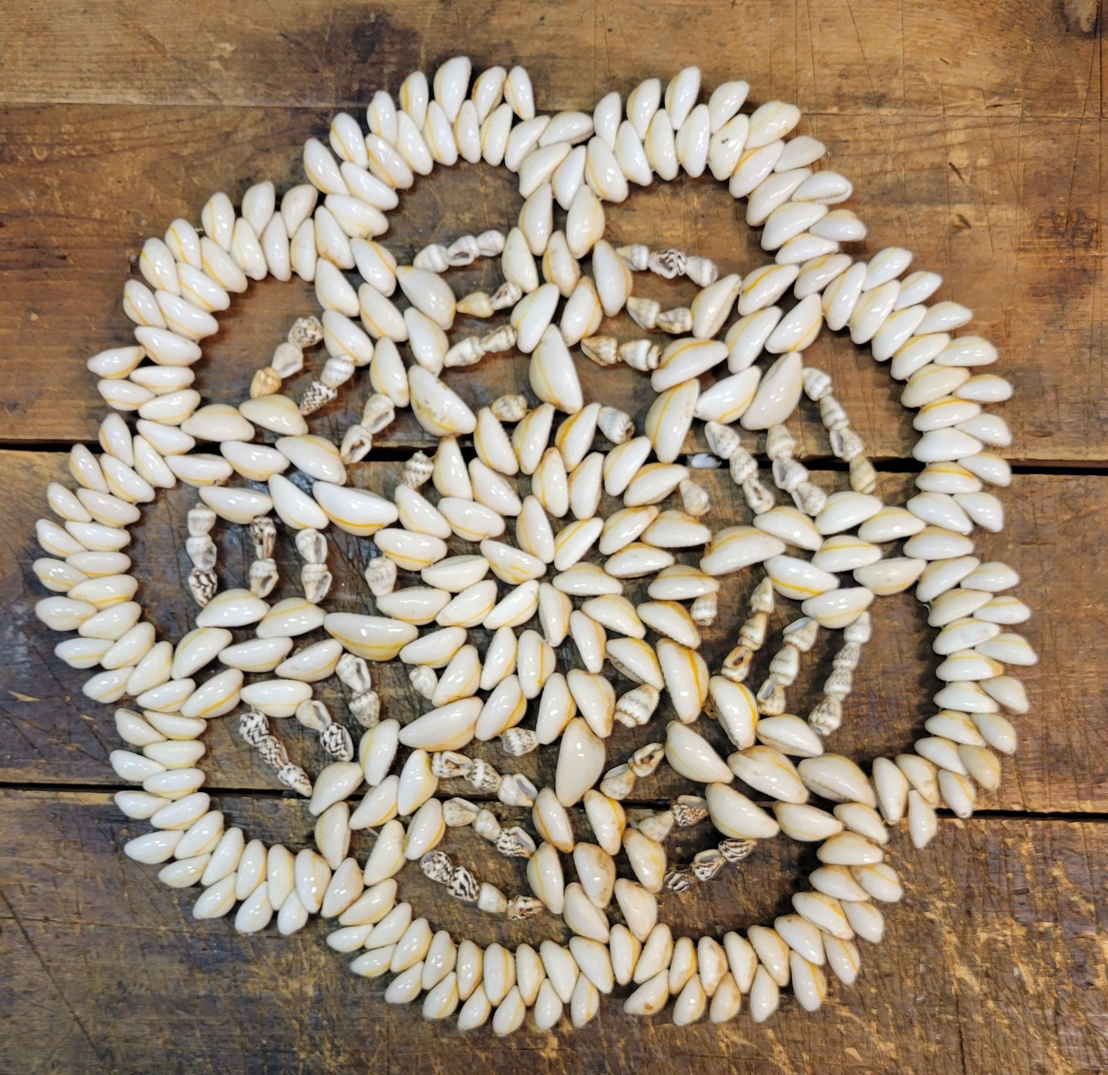 Vtg. Large 10 Cowrie Shell Trivet-placemat-mcm Shell Art. - Etsy