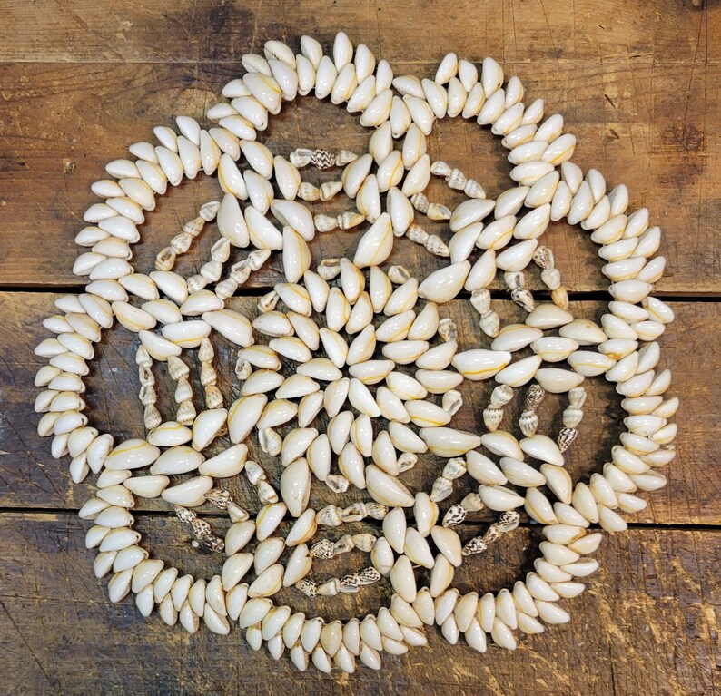 Vtg. Large 10 Cowrie Shell Trivet-placemat-mcm Shell Art. - Etsy