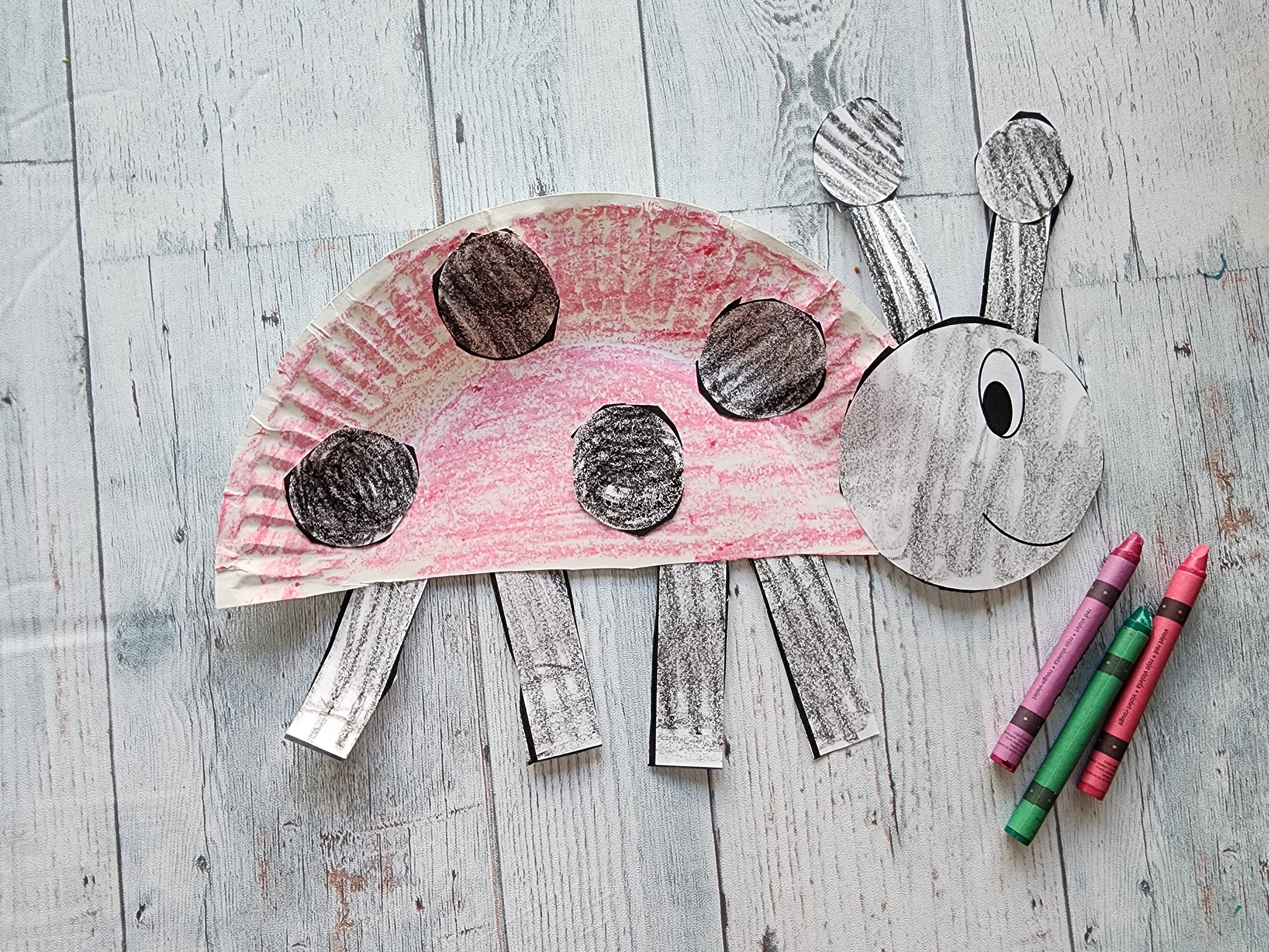 Spring Simple Paper Plate Fine Motor Crafts Color Cut Paste OT - Etsy