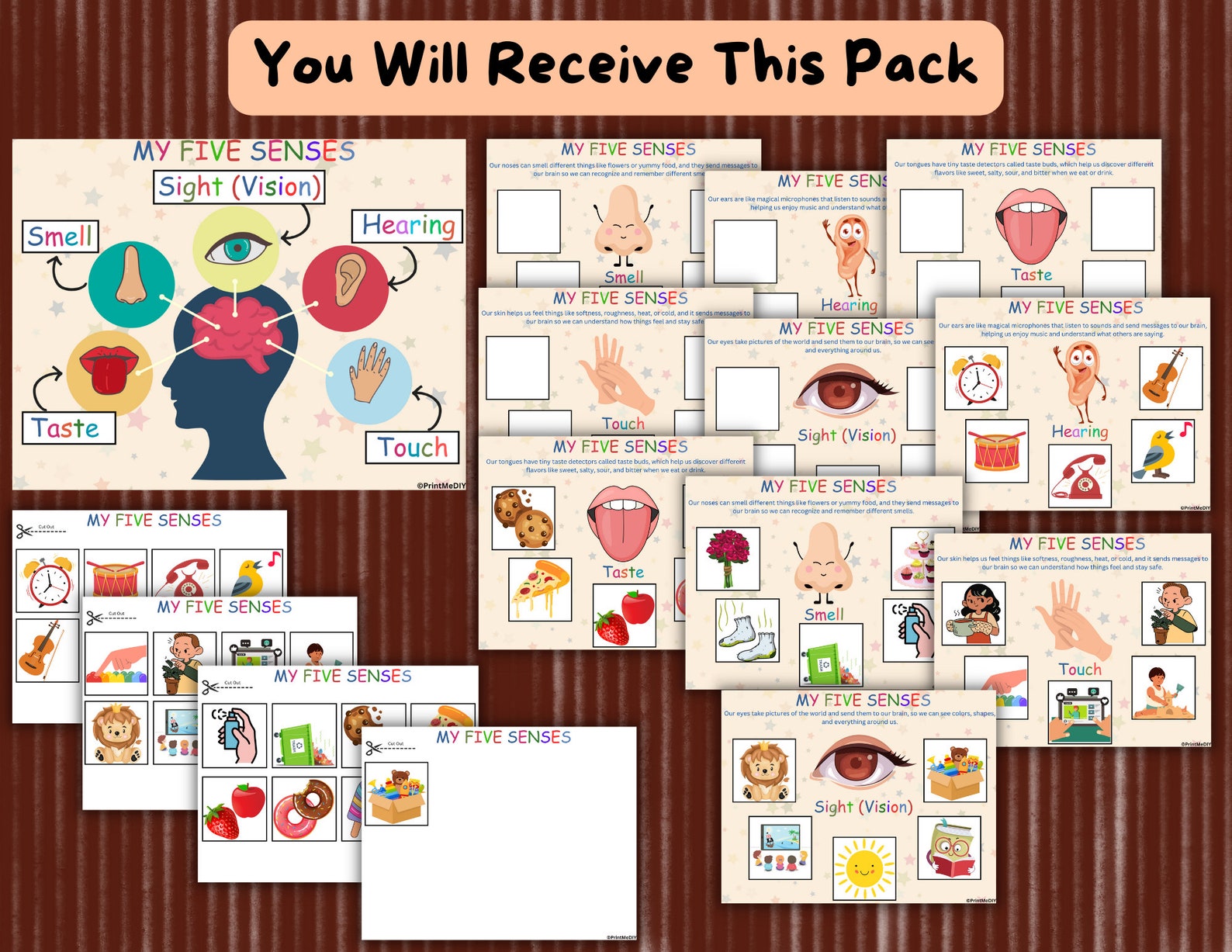 Montessori Five Senses Sorting Activity Printable, 5 Senses Sorting ...