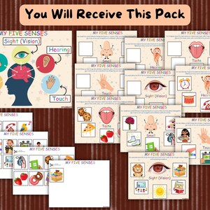 Montessori Five Senses Sorting Activity Printable, 5 Senses Sorting ...