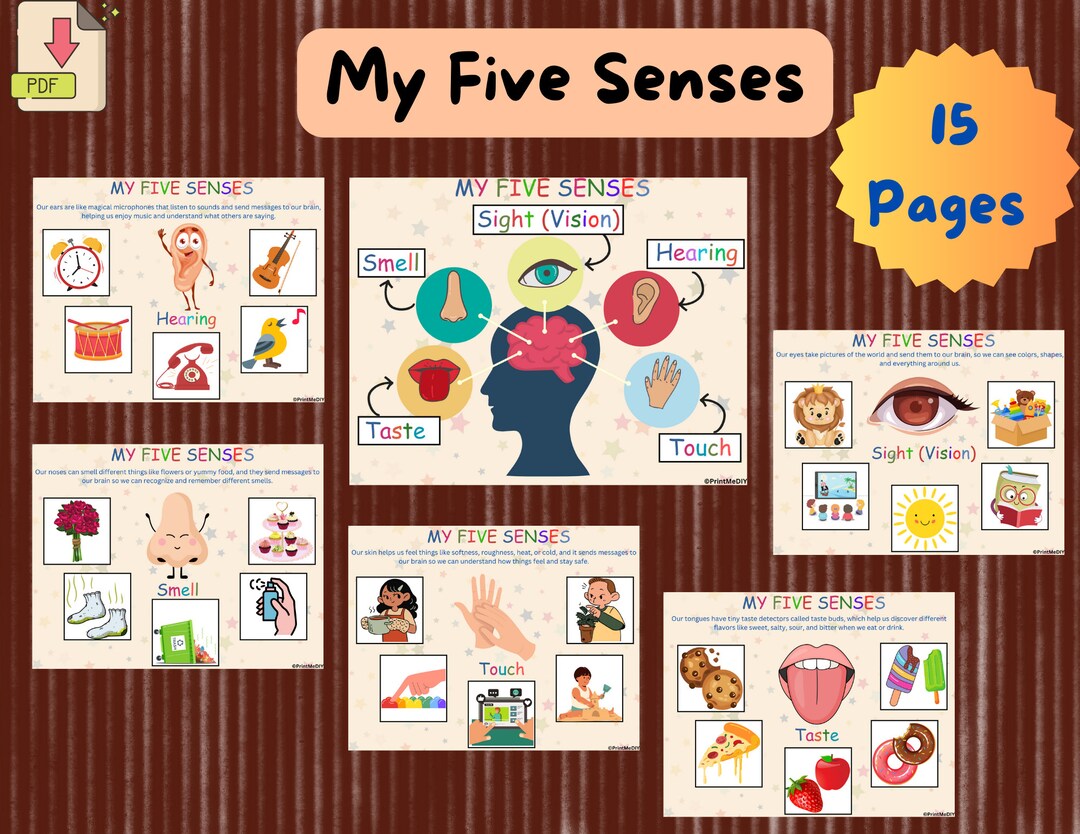 Montessori Five Senses Sorting Activity Printable, 5 Senses Sorting ...