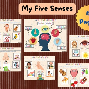 Montessori Five Senses Sorting Activity Printable, 5 Senses Sorting ...