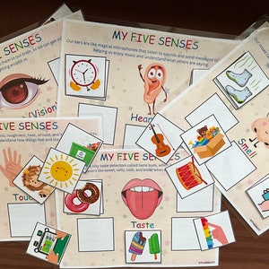 Montessori Five Senses Sorting Activity Printable, 5 Senses Sorting ...