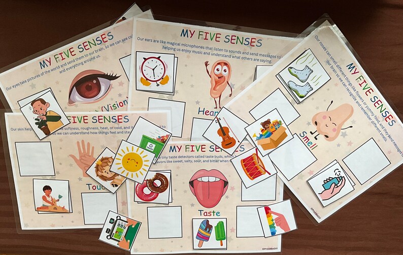 Montessori Five Senses Sorting Activity Printable, 5 Senses Sorting ...