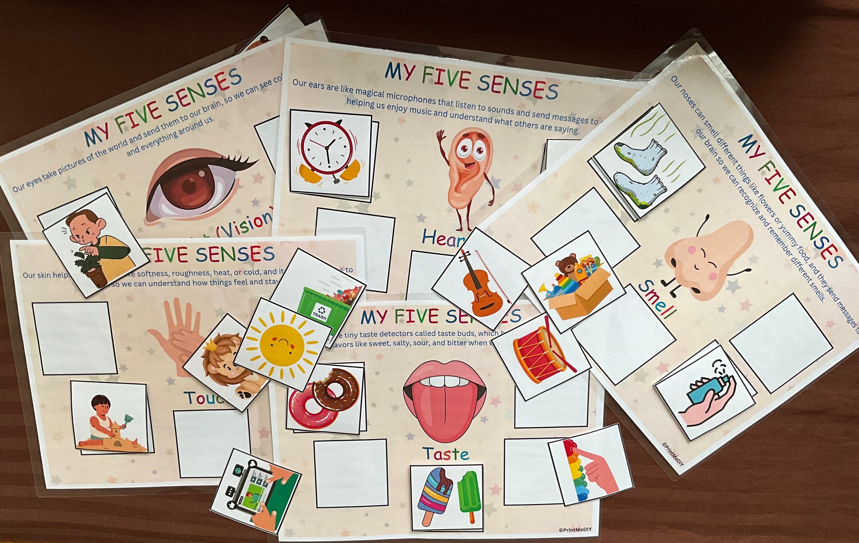 Montessori Five Senses Sorting Activity Printable, 5 Senses Sorting ...