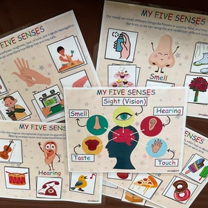 Montessori Five Senses Sorting Activity Printable, 5 Senses Sorting ...