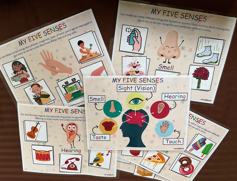 Montessori Five Senses Sorting Activity Printable, 5 Senses Sorting ...