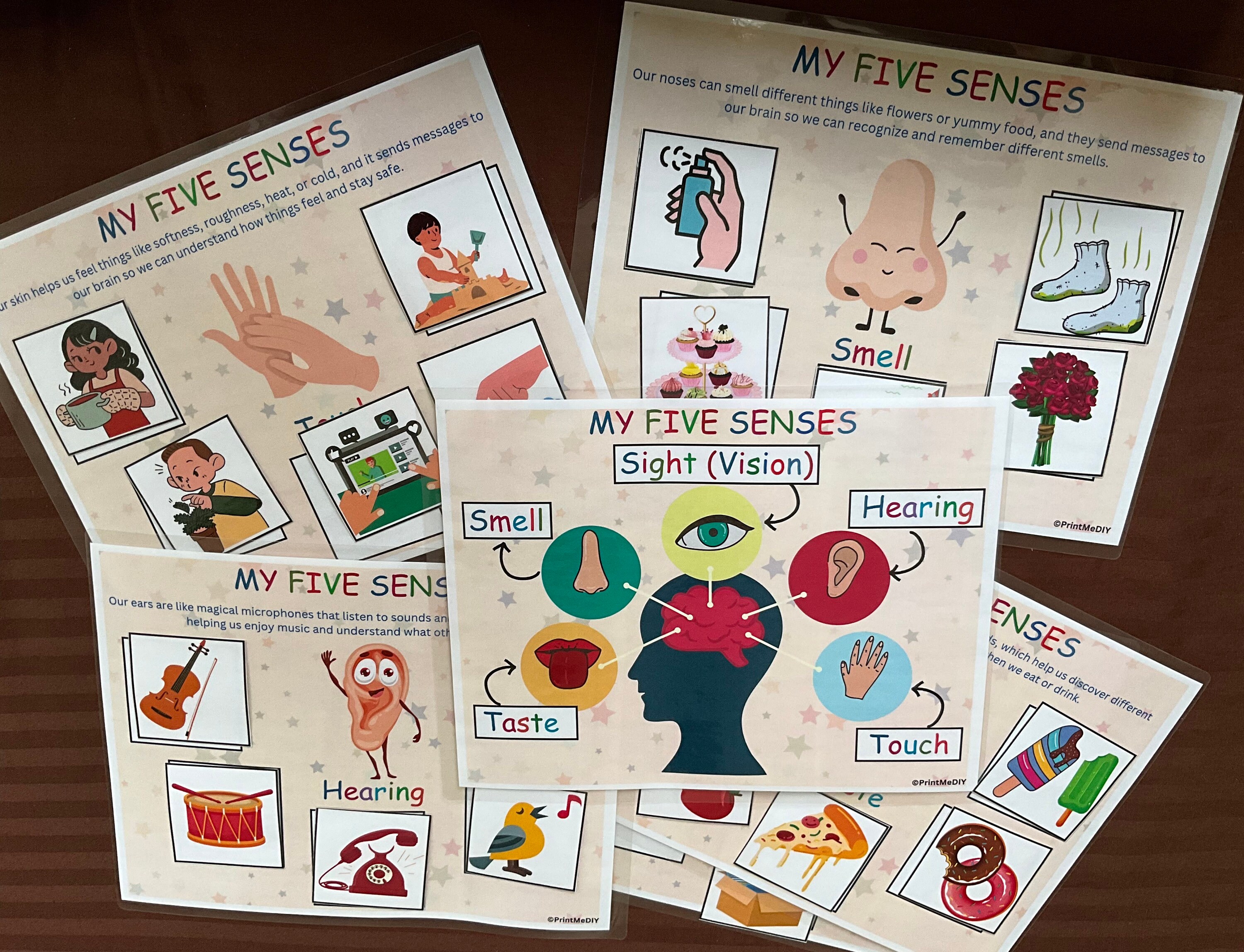 Montessori Five Senses Sorting Activity Printable, 5 Senses Sorting ...