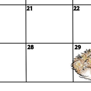 2024 Printable Calendar With 12 Original Whimsical Animal Illustrations ...