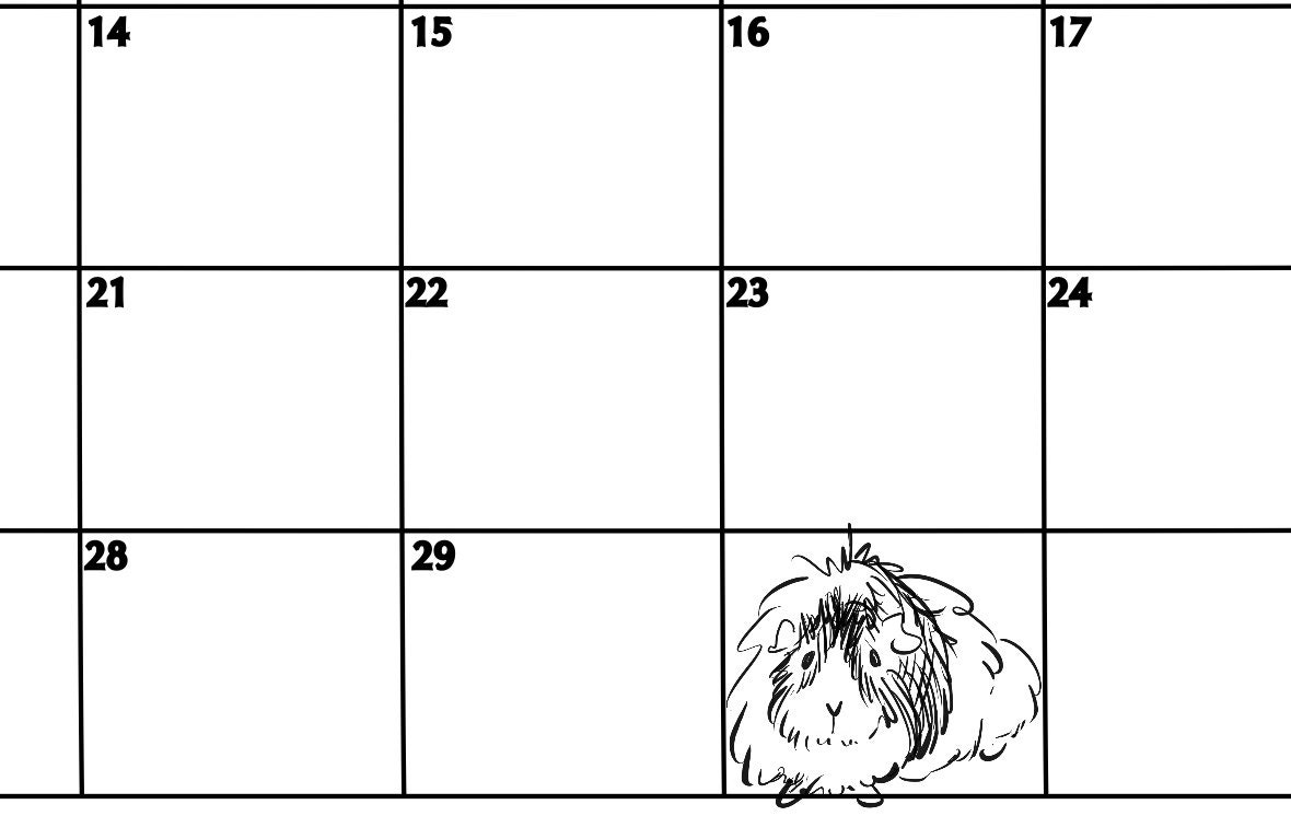 2024 Printable Calendar With 12 Original Animal Illustrations 8.5x11 - Etsy