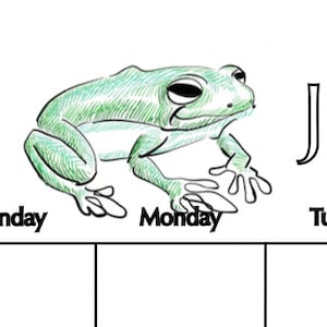 2024 Printable Calendar With 12 Original Whimsical Animal Illustrations ...