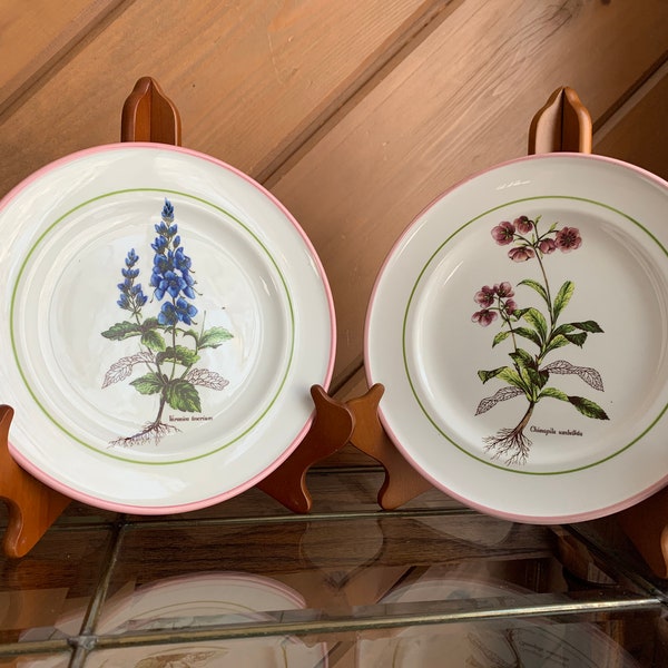 Italian Botanical Plates - Etsy