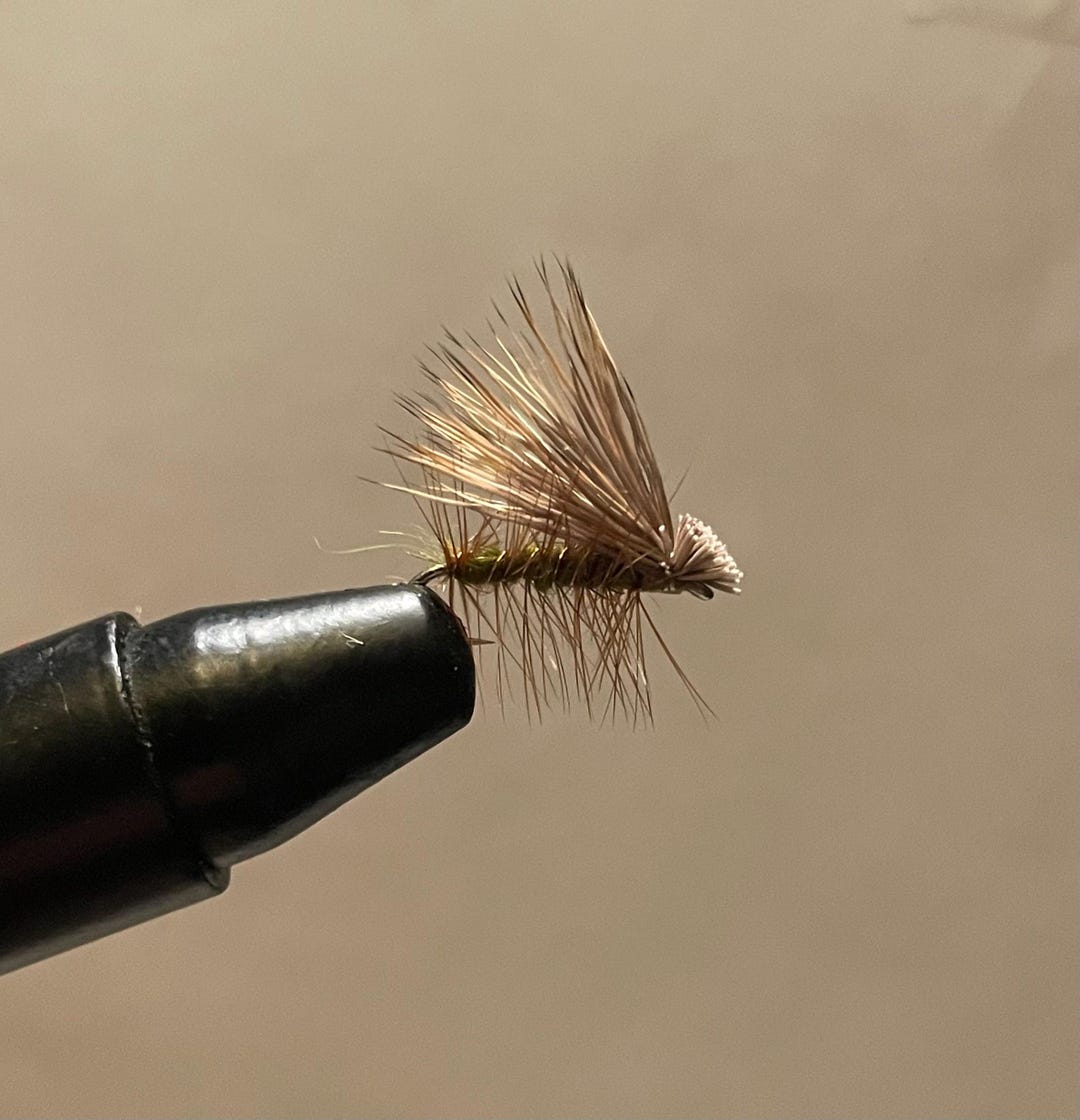 2 Pack Elk Hair Caddis Fly - Etsy