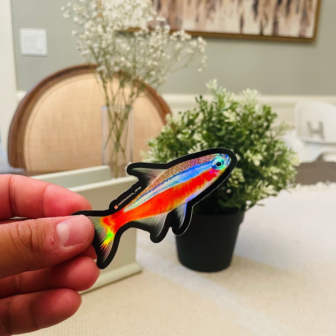 Neon Tetra Sticker (holographic) | Fish Art Sticker | Aquarium Art ...