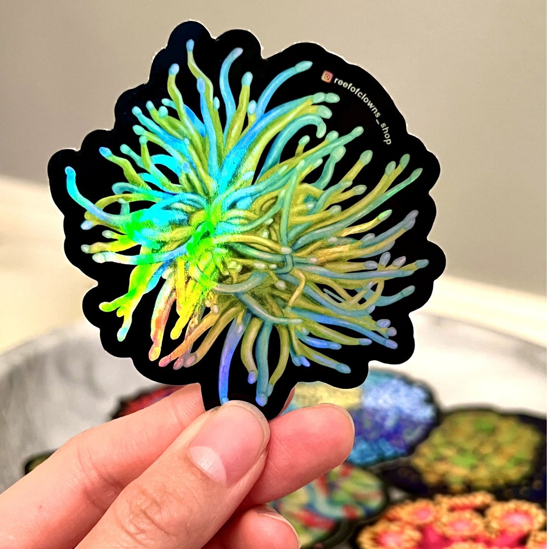 Holy Grail Torch Coral Sticker (holographic) | Fish Art Sticker ...