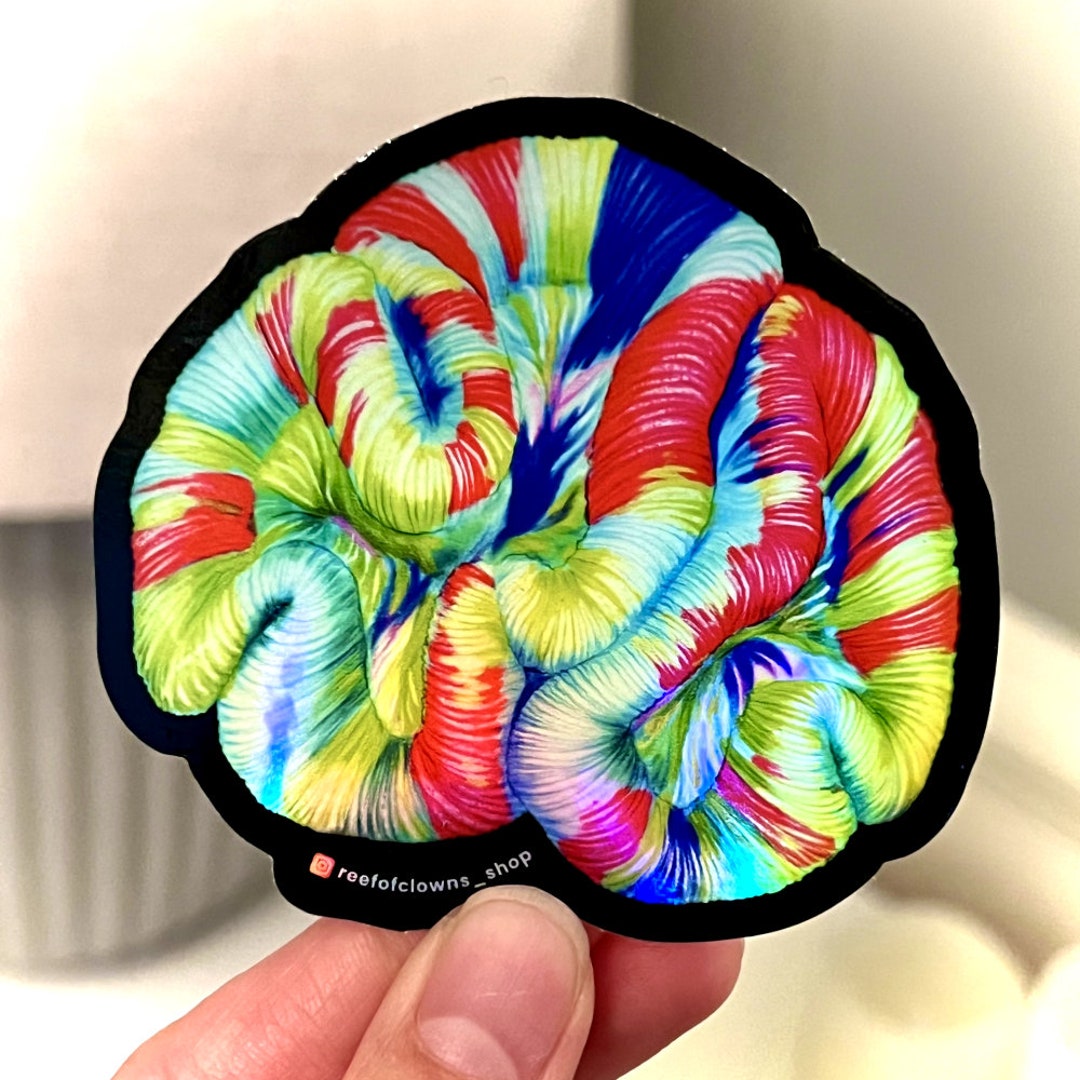 Trachyphyllia Coral Sticker (holographic) | Fish Art Sticker | Aquarium ...