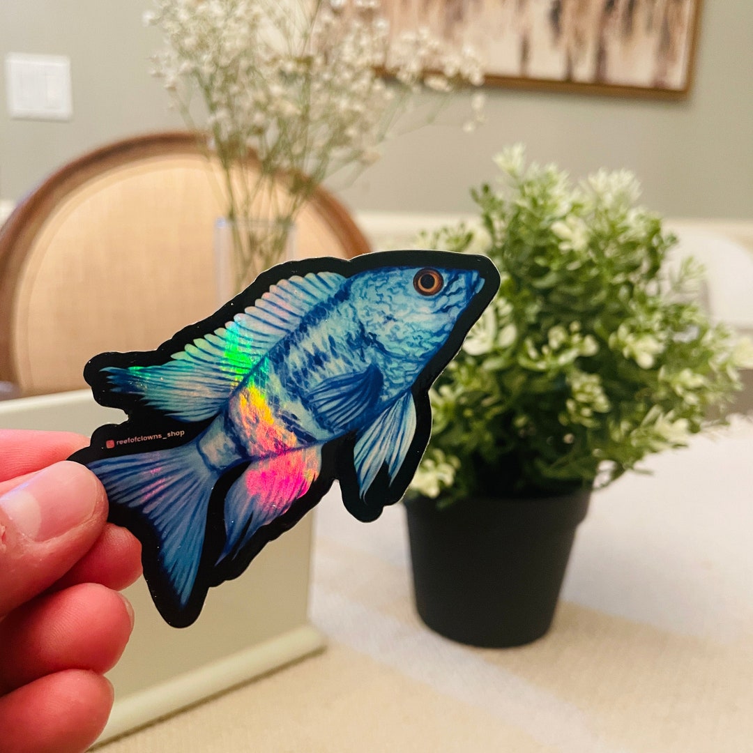 Blue African Cichlid Sticker (holographic) | Fish Art Sticker ...